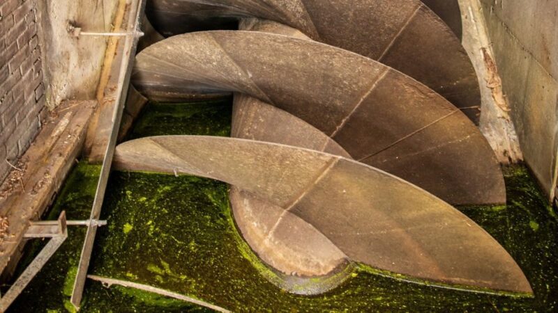 Amsterdam: Windmill Guided Tour - The Sum Up: Is the Amsterdam Windmill Guided Tour Worth It?