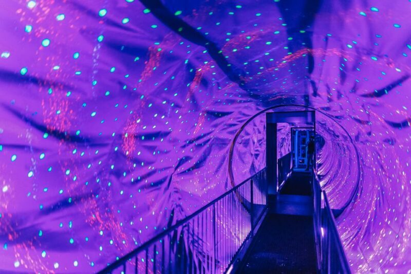 Amsterdam's Weirdest Museum: Ripley's Believe It or Not! - Key Points