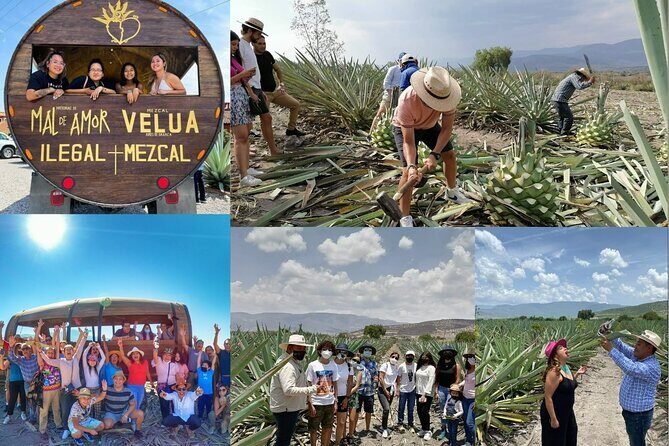 An adventure for the senses: Mezcal, fields and crafts. - A Closer Look at the Itinerary