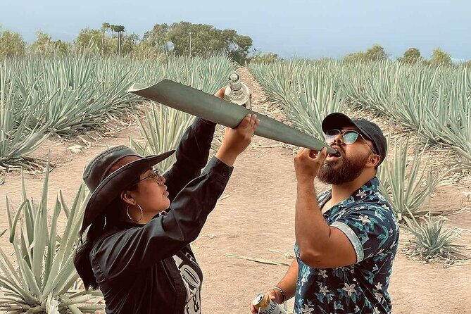 An adventure for the senses: Mezcal, fields and crafts. - Practical Details and Tips