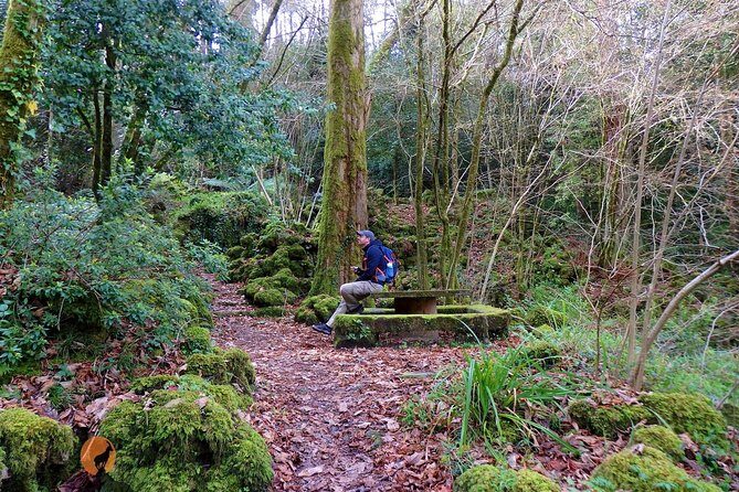 An adventure through the Forest and Palace of Bussaco - Coimbra - Why This Tour Offers Great Value