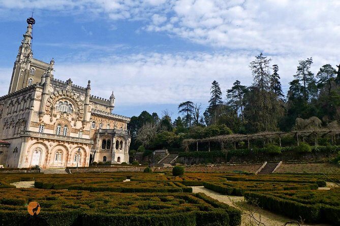 An adventure through the Forest and Palace of Bussaco - Coimbra - Who Should Consider This Tour?