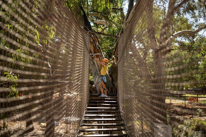 An exciting, Tree Top Adventure for Our Littlest Adventurers - Who Will Love It?