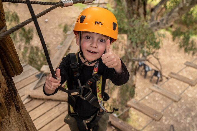 An exciting, Tree Top Adventure for Our Littlest Adventurers - FAQ