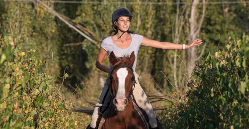 An Exclusive Horseback Experience in the Heart of Tuscany - Key Points