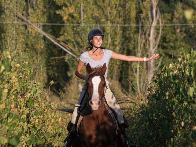 An Exclusive Horseback Experience in the Heart of Tuscany - The Experience: What to Expect on This Horseback Tour