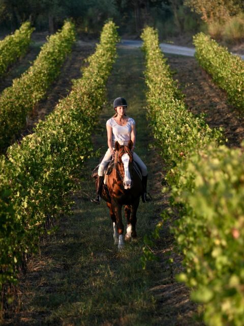 An Exclusive Horseback Experience in the Heart of Tuscany - Final Thoughts