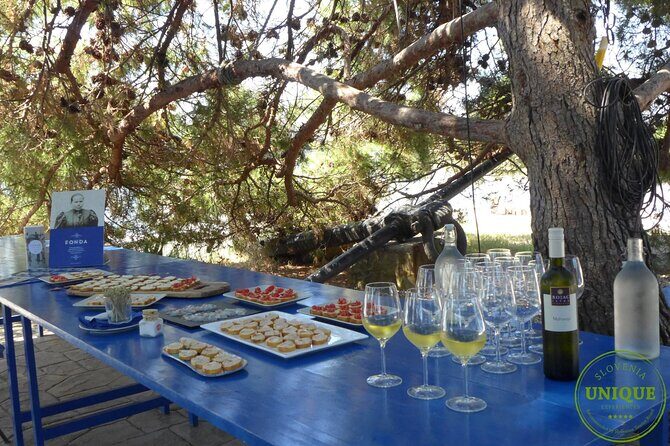 An Unforgettable Day With Fish, Wine and Olive Oil Tasting - Authentic Insights from Reviewers