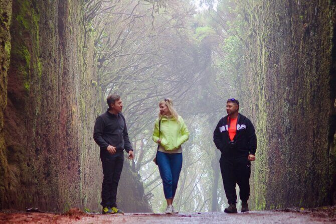 Anaga Hidden Gems Hiking Tour. Free Pick-up. - Key Points