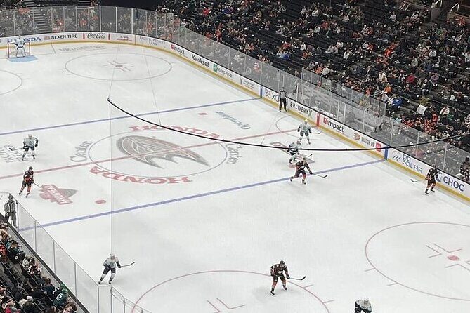 Anaheim Ducks Ice Hockey Game at Honda Center - What to Expect on the Tour