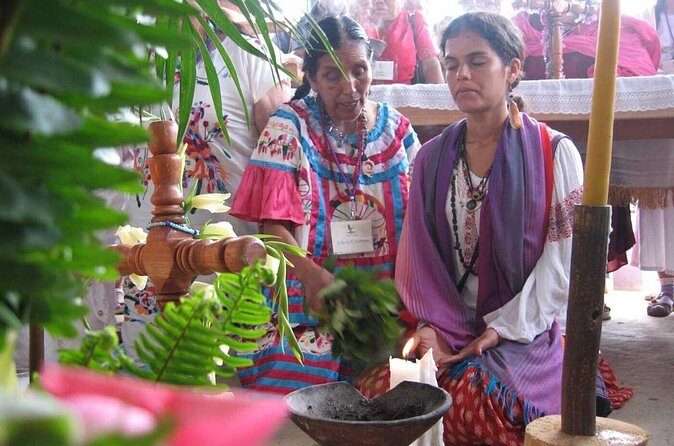 Ancestral and Traditional Knowledge Workshop - FAQ