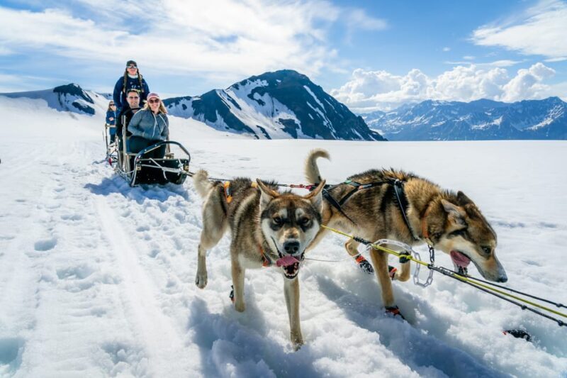 Anchorage Area: Helicopter and Glacier Dogsled Tour - Anchorage Area: Helicopter and Glacier Dogsled Tour — A Complete Reviewer’s Perspective