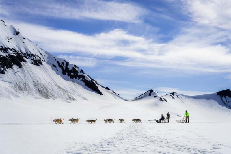 Anchorage Area: Helicopter and Glacier Dogsled Tour - Who This Tour Is Best For