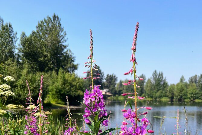 Anchorage Greenbelt Bike Tour - What’s Included and What to Expect