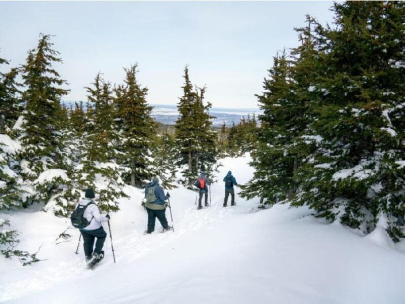 Anchorage: Heli Snowshoe Adventure - FAQs