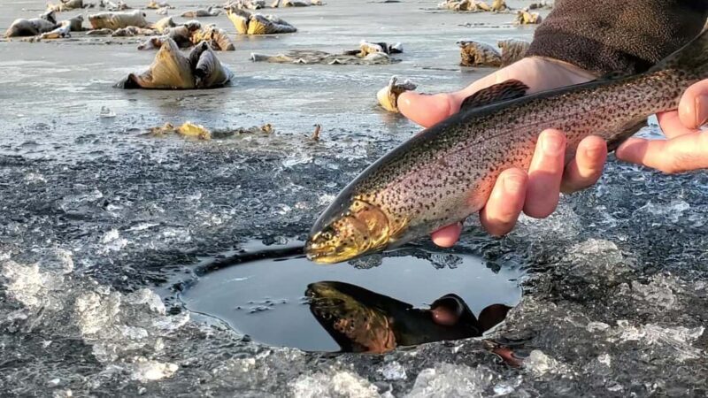 Anchorage: Ice Fishing Trip With Transportation - Key Points