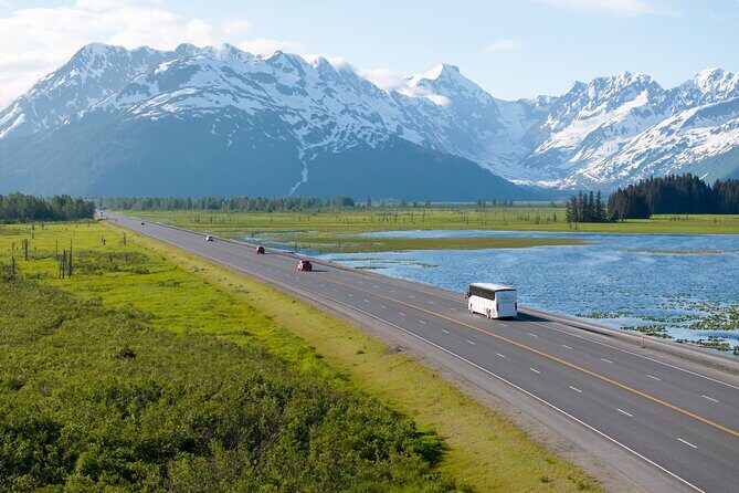 Anchorage to Seward Direct Transfer Tour - A Stress-Free Start or Finish