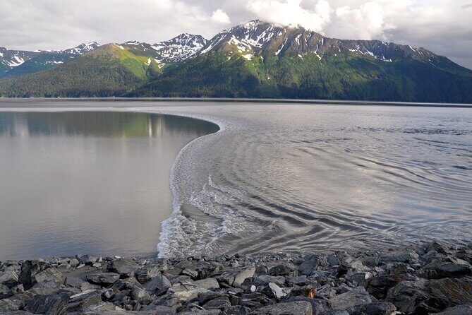 Anchorage to Whittier Direct Transfer Tour - An In-Depth Look at the Anchorage to Whittier Transfer