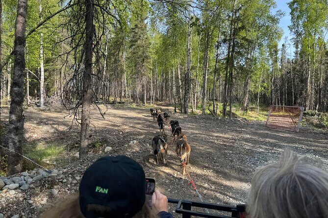 Anchorage's Authentic Dog Sledding Experience - FAQ