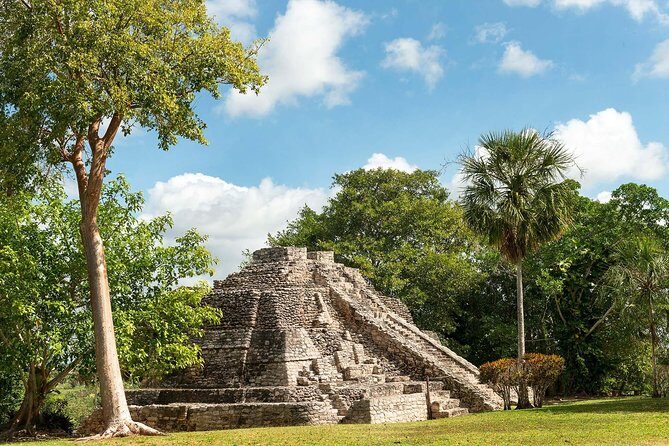 Ancient Chacchoben Mayan Ruins Tour from Costa Maya - Who Will Love This Tour?