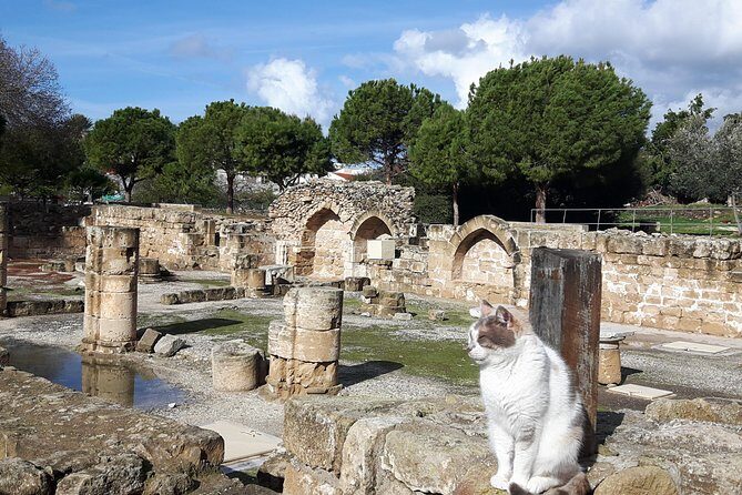 Ancient City Of PAPHOS - Exploring the Ancient City of Paphos: A Detailed Review