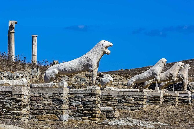 Ancient Delos Tour - Who Should Book This Tour?