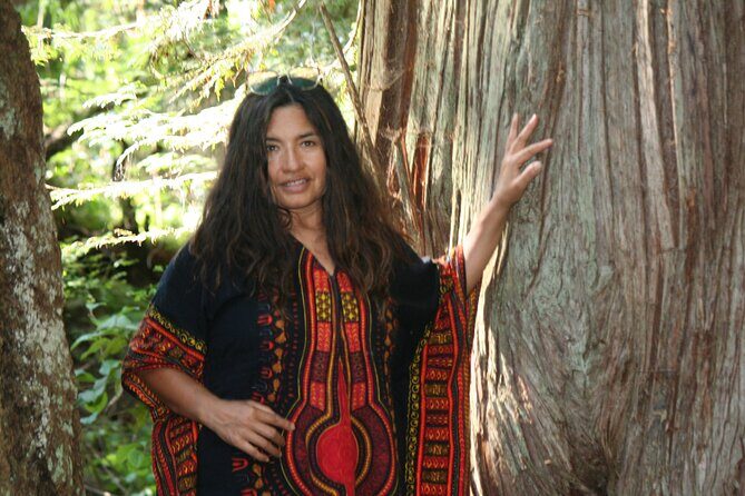 Ancient Forest , Waterfalls and Stunning Vistas Day Tour - The Itinerary Breakdown: What You’ll Experience