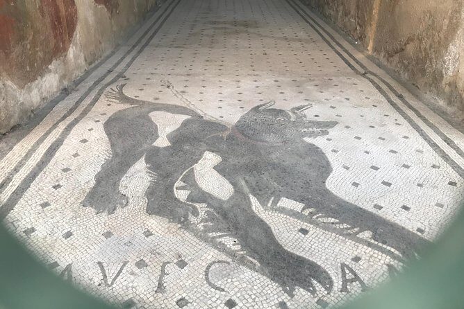 Ancient Pompei in the afternoon - Who Will Love This Tour?