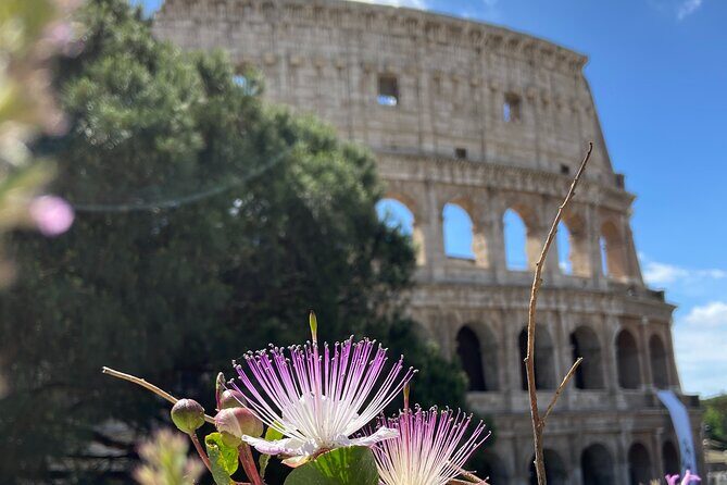 Ancient Rome: Colosseum + Digital Booklet and Audioguide - Practical Tips for Participants