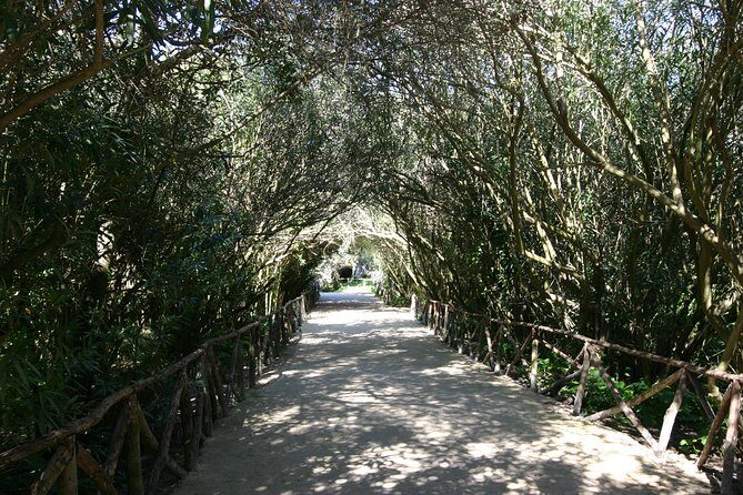 Ancient Syracuse: private guided tour of the Neapolis archaeological park - FAQ  