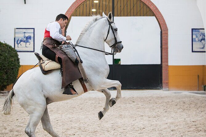 Andalusian Horses and Flamenco show with transportation - FAQs