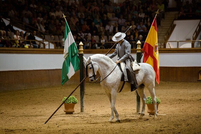 Andalusian Horses Dance Show - A Deep Dive into the Andalusian Horses Dance Show