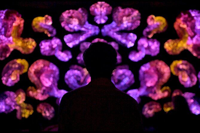 Andetag Immersive Art Experience - Key Points