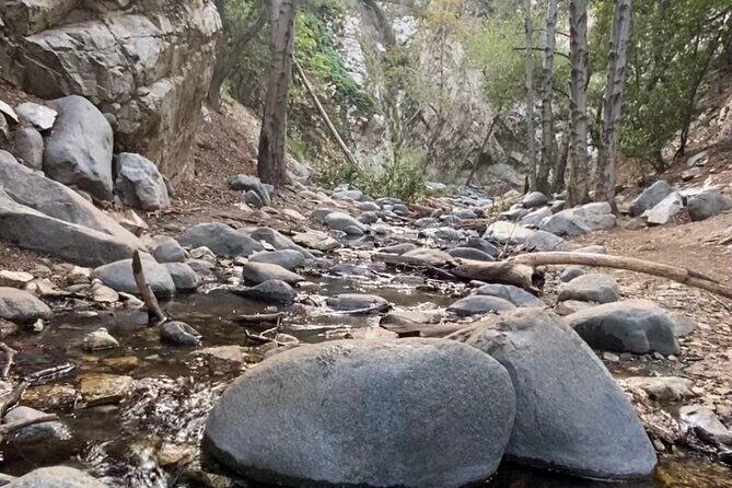Angeles Forest Waterfall Hiking Tour - Final Thoughts: Who Will Love This Tour?