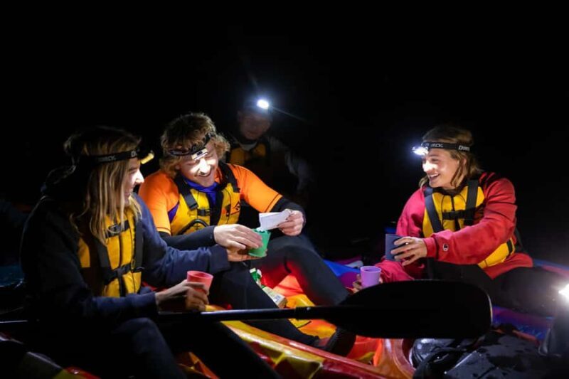 Anglesea: Night Kayaking Tour Under the Stars - What to Expect on the Night Kayaking Tour