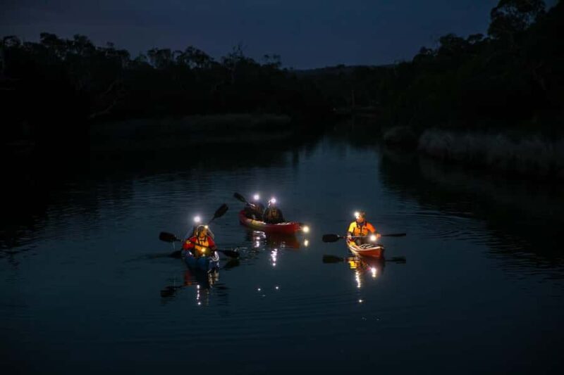 Anglesea: Night Kayaking Tour Under the Stars - Why This Tour Is a Great Choice