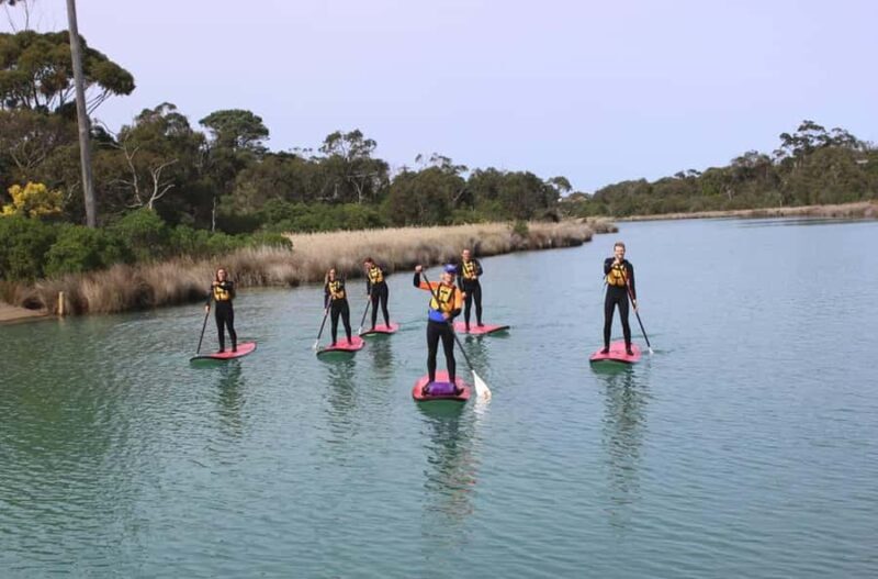 Anglesea: Stand-Up Paddleboard Lesson on the River - What You Can Expect During Your Paddleboard Lesson