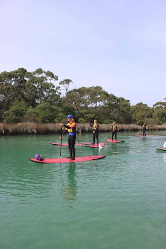 Anglesea: Stand-Up Paddleboard Lesson on the River - The Equipment and Comfort
