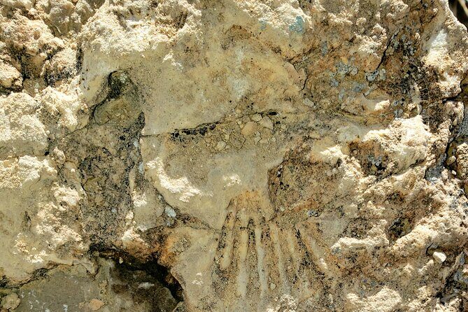 Animal Petting and Sunset Hike in Las Vegas - Detailed Breakdown of the Itinerary