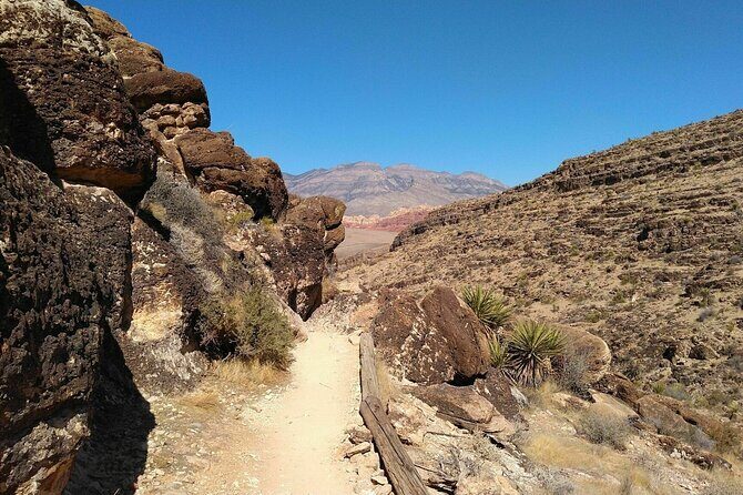 Animal Petting and Sunset Hike in Las Vegas - Practical Tips for Your Visit