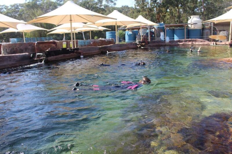 Anna Bay: Irukandji Entry + Coastal Currents Snorkel - Discovering Fingill Lagoon and Its Marine Residents