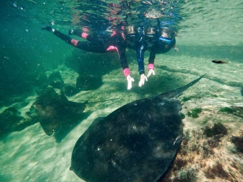 Anna Bay: Irukandji Entry + Coastal Currents Snorkel - FAQs