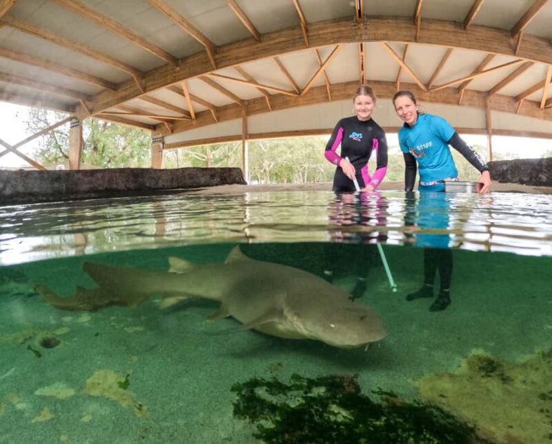 Anna Bay: Irukandji Entry Pass with Reef Shark Encounter - The Experience Breakdown