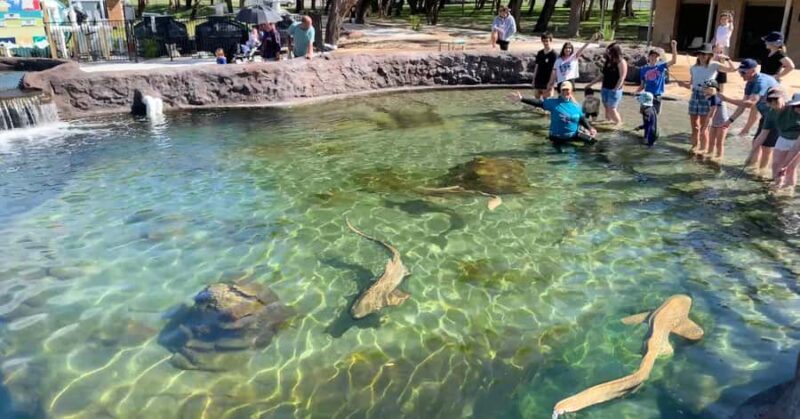 Anna Bay: Irukandji Entry Pass with Shallows Encounter - Practical Details and Accessibility