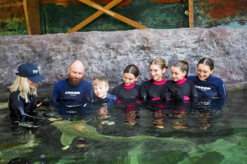 Anna Bay: Irukandji Entry Pass with Zebra Shark Encounter - What to Expect from the Zebra Shark Encounter