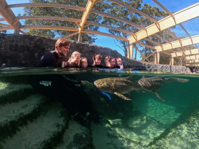 Anna Bay: Irukandji Entry Pass with Zebra Shark Encounter - The Itinerary: Step-by-Step Breakdown