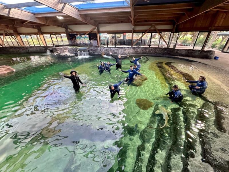 Anna Bay: Irukandji Entry with Zebra Shark Snorkel - Practical Details and Tips