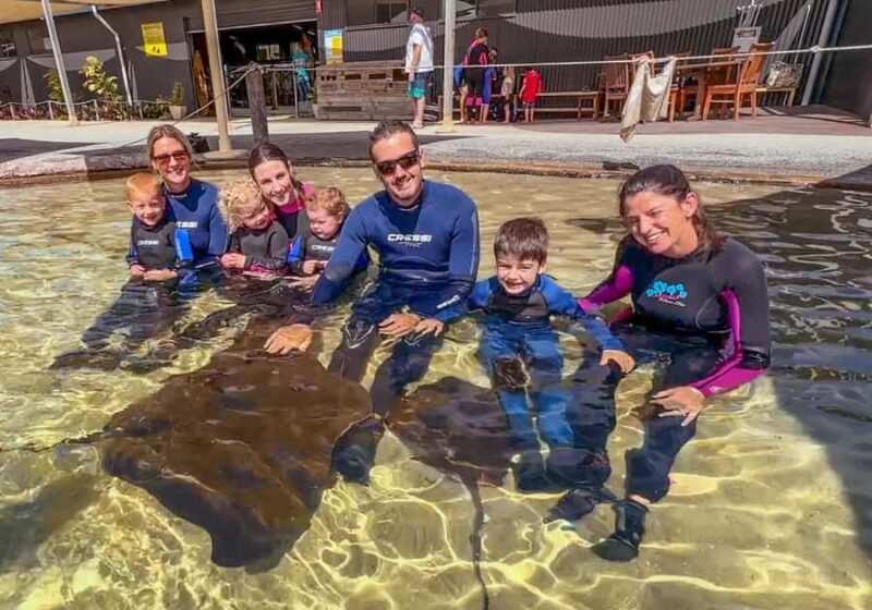 Anna Bay: Irukandji Entry with Zebra Shark Snorkel - Why This Tour Is Worth Considering