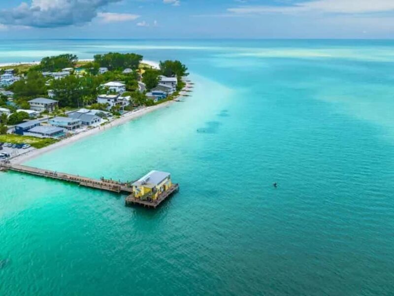 Anna Maria Island: Dolphin Cruise - The Experience from the Guides