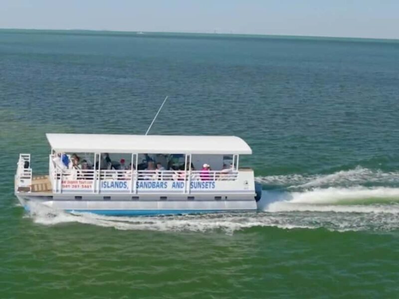 Anna Maria Island: Dolphin Cruise - Pricing and Value